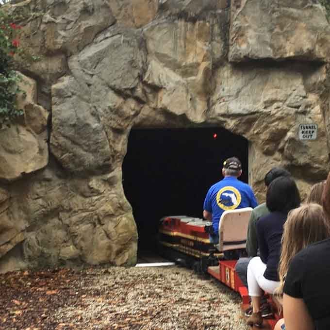 Into the tunnel we go, where darkness briefly swallows the train before spitting it back into glorious Florida sunshine.