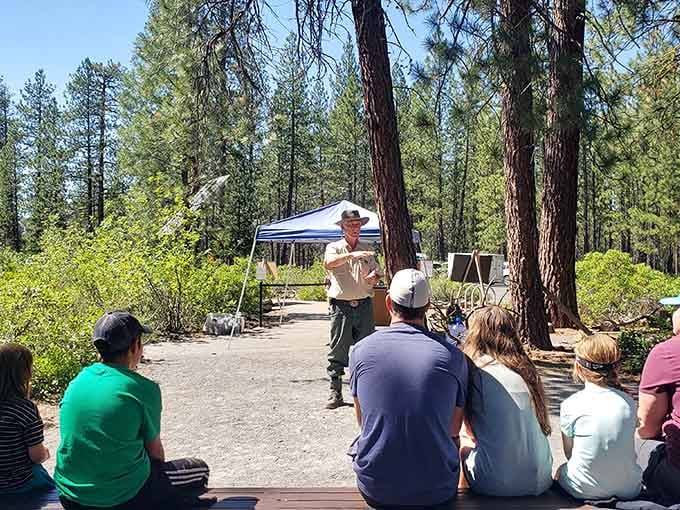 Forest Service rangers share fascinating geological insights that transform your cave visit into an educational adventure too.