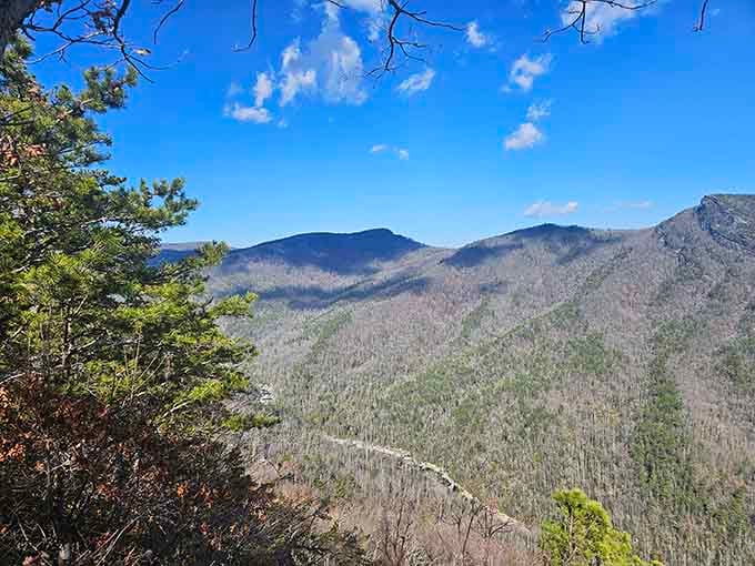 Winter strips away the foliage, revealing the gorge's raw bones and reminding you why geologists get so excited.