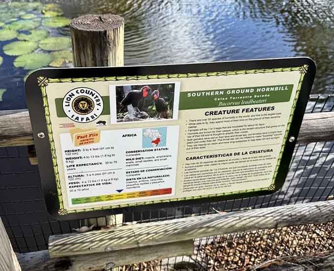 Educational marker teaches you things about hornbills you never knew you needed to know until now.