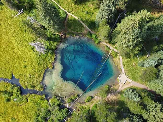 From above, Little Crater Lake looks like someone punched a perfect turquoise hole right through the forest floor.