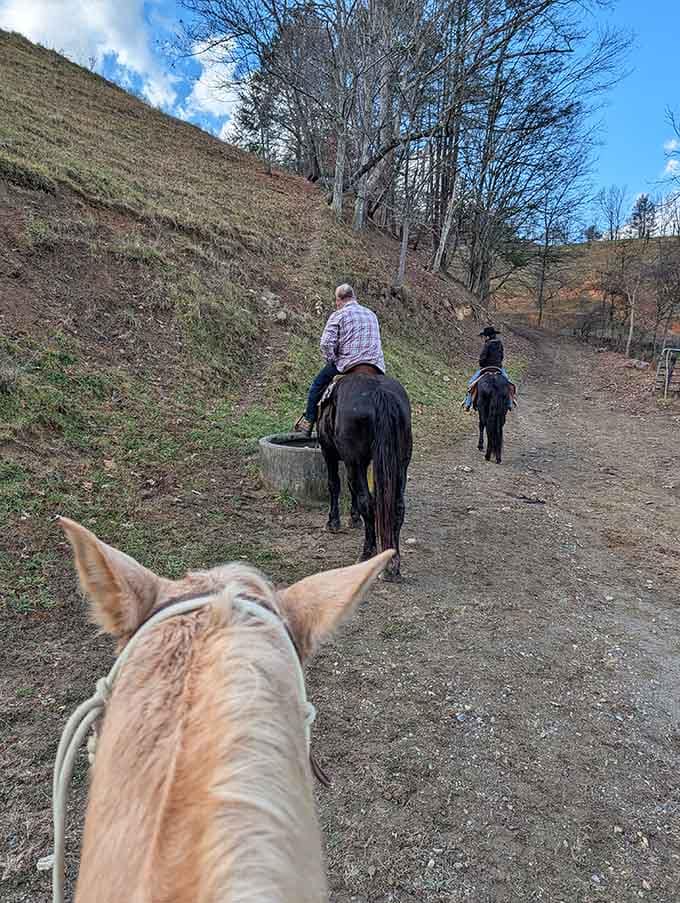 The trail climbs hillsides where your horse does the heavy lifting while you enjoy spectacular mountain scenery.