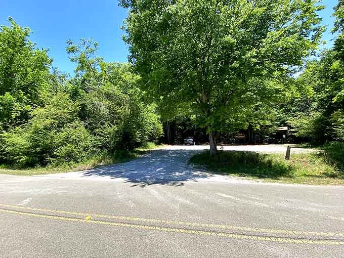 Your adventure begins here at this unassuming parking area, gateway to Alabama's hidden natural treasure.