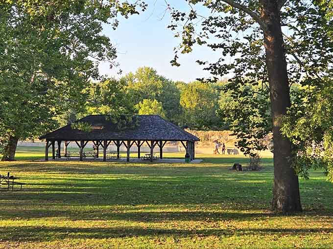 The park's picnic shelter stands ready for family gatherings that'll actually have something interesting to look at.