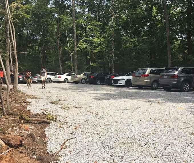 The parking area fills up fast on open days, proving Georgians know a good secret when they hear one.