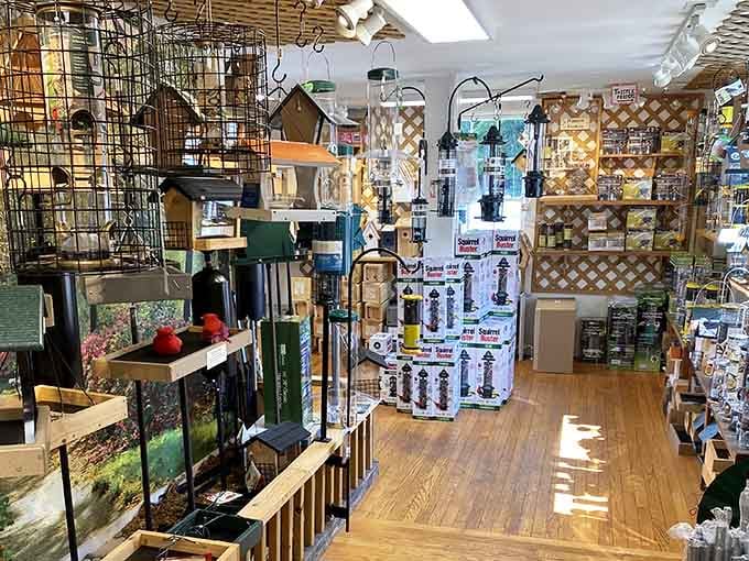 The Audubon Shop proves that bird watching supplies can be surprisingly delightful when curated with genuine passion.