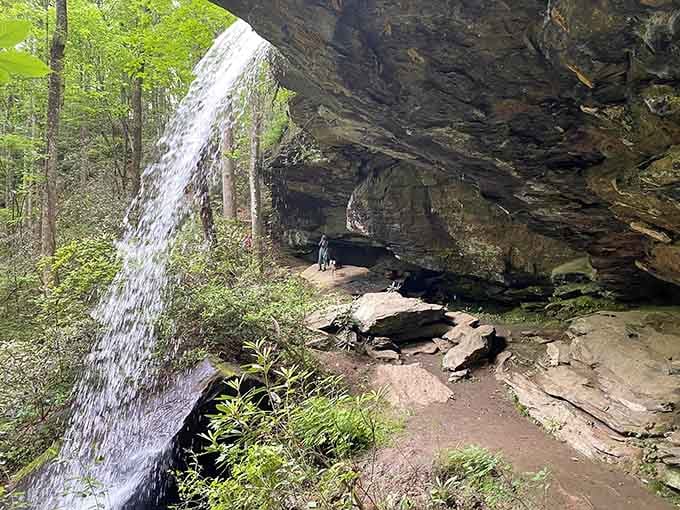 The falls create their own microclimate of mist and magic that no air conditioner can replicate.