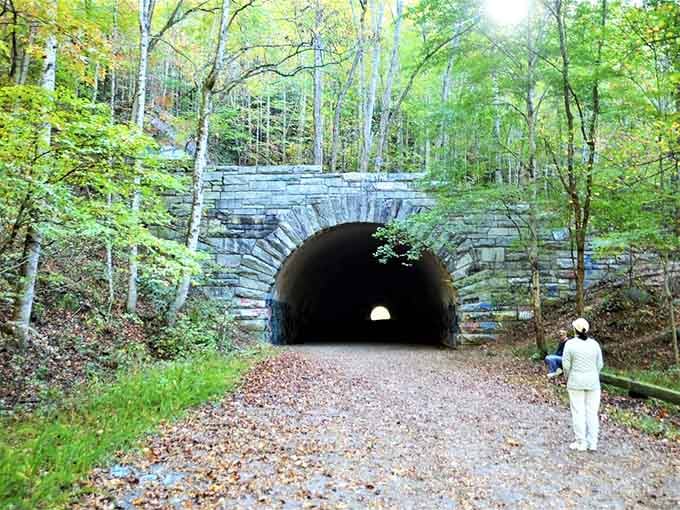 A tunnel carved through solid rock, because sometimes the only way forward is straight through the mountain itself.