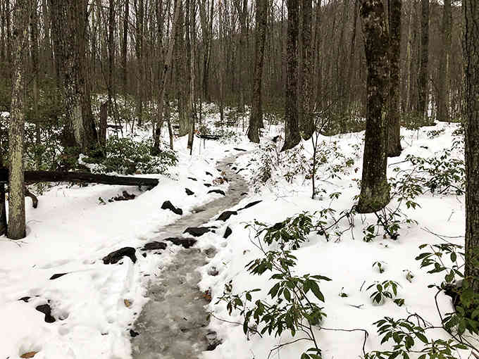 Winter hiking requires serious commitment, but the snowy serenity makes every frozen step worthwhile.