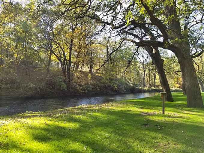 Dappled sunlight through ancient oaks, creating the perfect spot for a picnic that doesn't involve a parking lot.