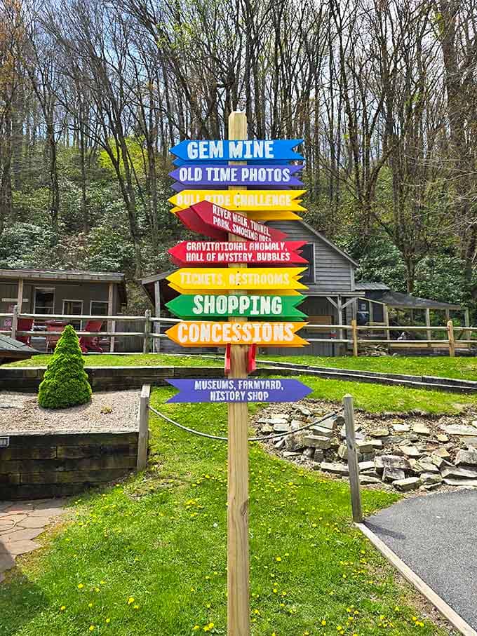 The cheerful directional signs guide you through every attraction, ensuring you don't miss a single mind-bending experience on the property.