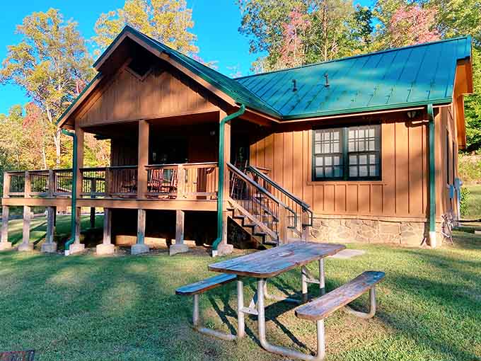 These cabins let you wake up to views that make your morning coffee taste even better.