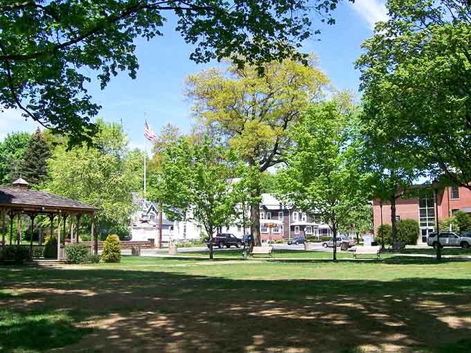 Spring's fresh canopy creates a natural cathedral where worship happens through quiet walks and grateful breathing, no collection plate necessary.