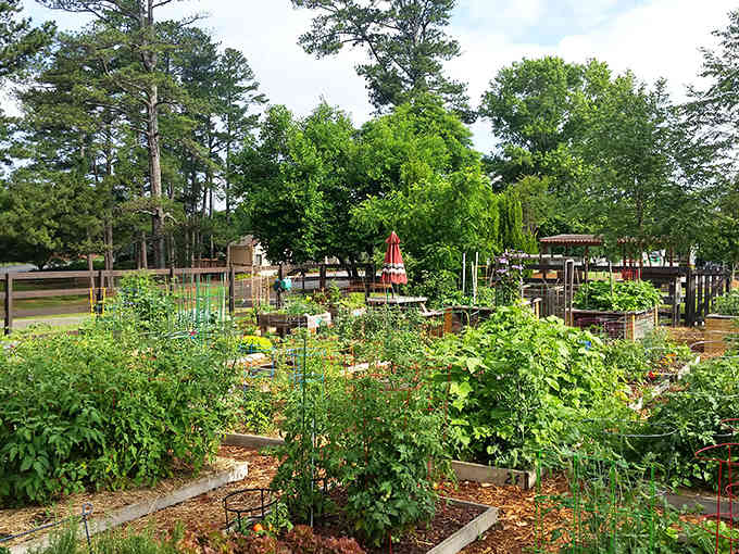 Community gardens flourish nearby, proving that Newtown Park caters to every living thing that enjoys sunshine and fresh air.