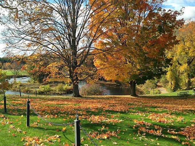 Fall foliage that makes you understand why people tolerate New England winters without complaining too much about it.