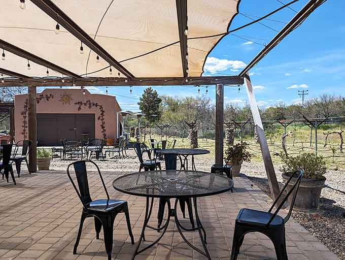 Shaded tables with vineyard views create the perfect spot to debate which wine pairs best with doing absolutely nothing.