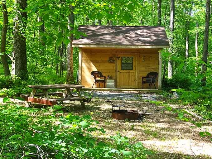 This woodland cabin setup offers glamping that's roughing it the way people who enjoy hot showers prefer their nature experiences.