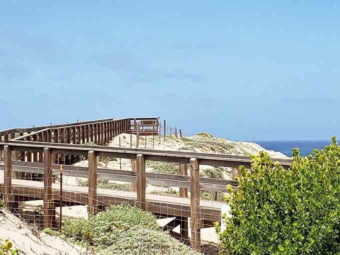 Elevated boardwalks offer panoramic views of where desert-like dunes kiss the Pacific.