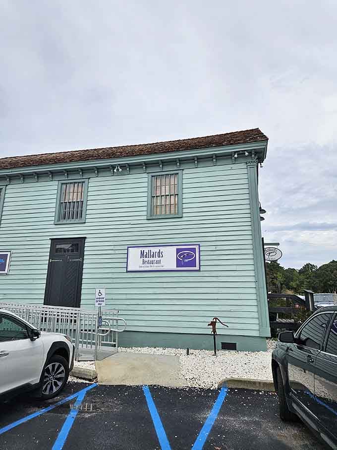Mallards at the Wharf sits waterside in mint green, serving seafood so fresh it practically swam here.