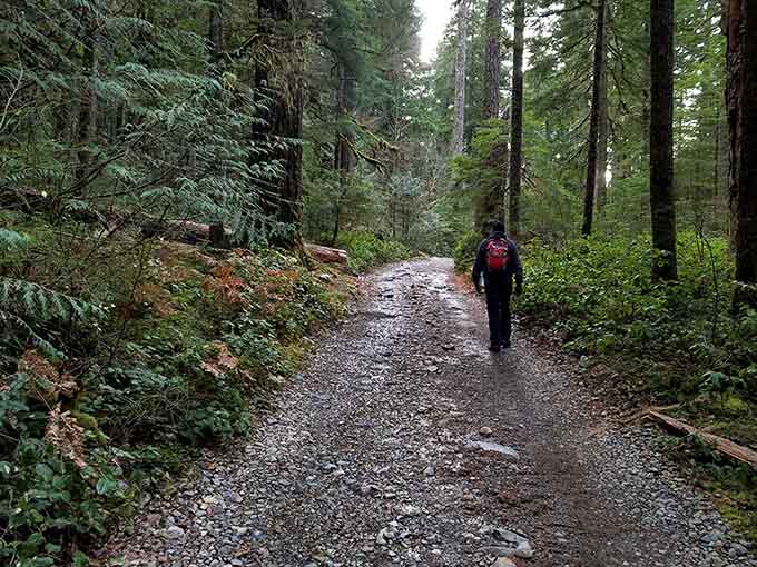The trail ahead promises adventure, exercise, and the kind of views that make every step completely worthwhile.