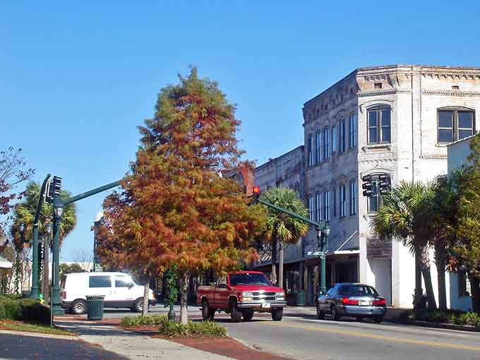 Palm-lined streets create that Southern atmosphere without the Charleston price tag attached to everything.