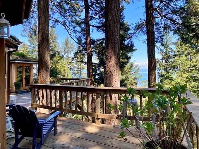 Deck chairs positioned for maximum forest gazing, because sometimes doing absolutely nothing is exactly what you need to do.