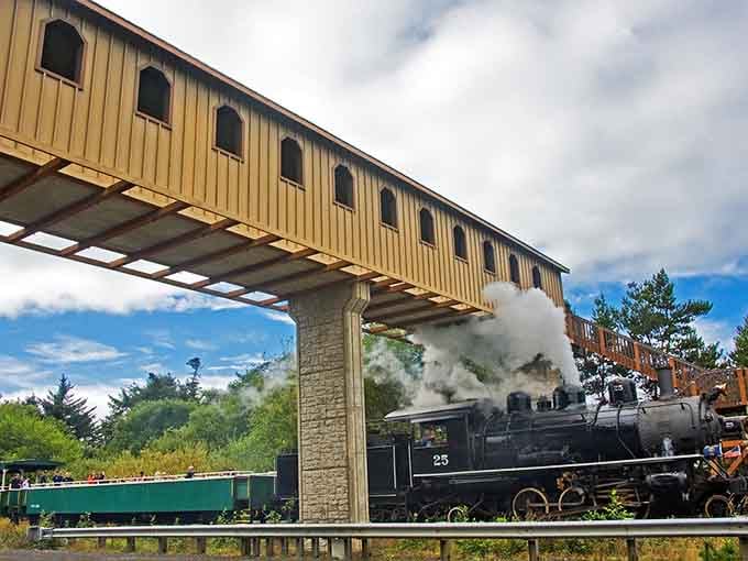 Steam and steel meeting timber and sky, creating moments that belong on postcards and in family photo albums.