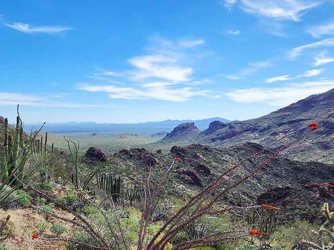 Mountain vistas stretch endlessly, reminding you that Arizona has way more to offer than just the Grand Canyon.