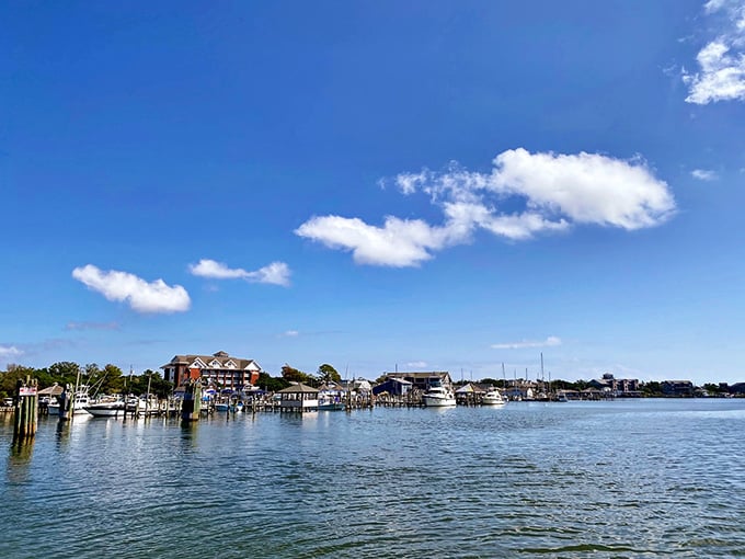 Sound-side marinas offer a quieter alternative to ocean drama, where fishing boats bob peacefully in protected waters.