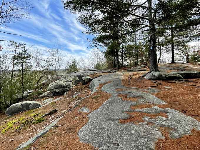 Rocky outcrops offer views that make the climb worthwhile, plus bragging rights for your next dinner party conversation.