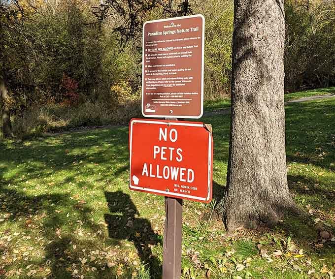 That "No Pets Allowed" sign protects the delicate ecosystem, ensuring this paradise remains pristine for future visitors.