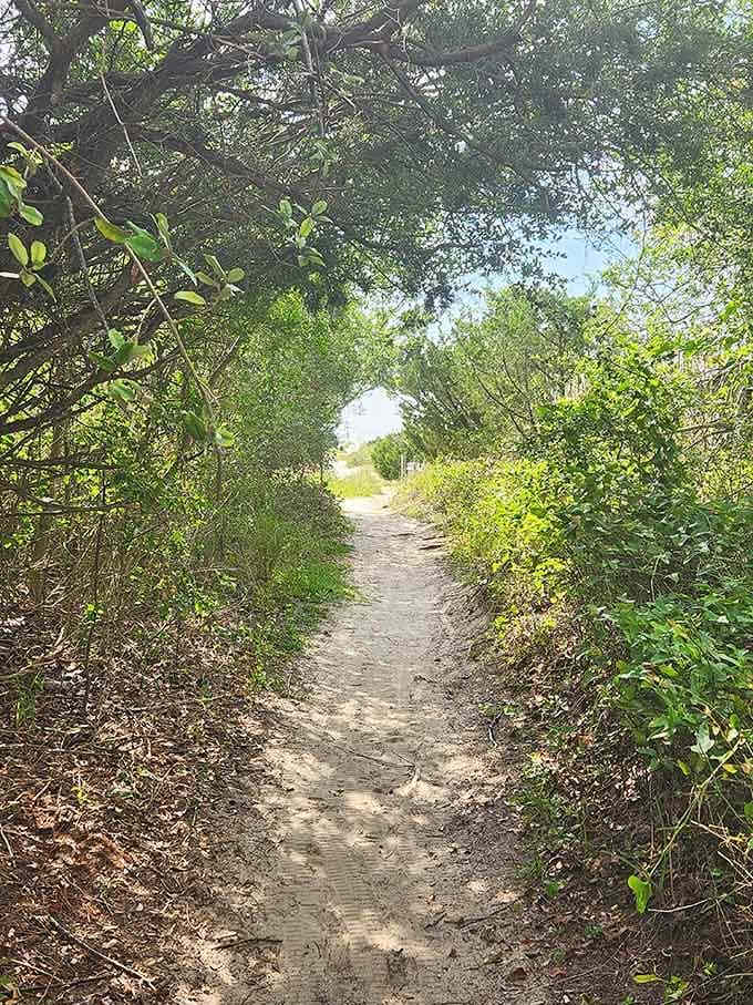 Sandy trails through maritime forest where getting lost is half the point of the whole adventure anyway.