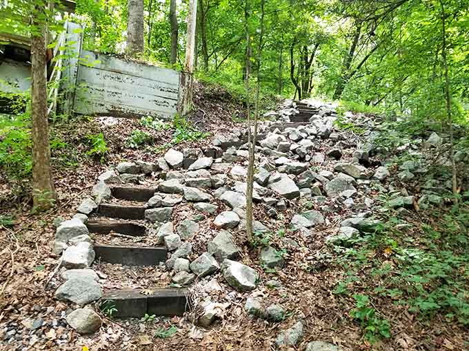 Rocky steps challenge your footing while rewarding your determination with access to quieter sections of the trail system.