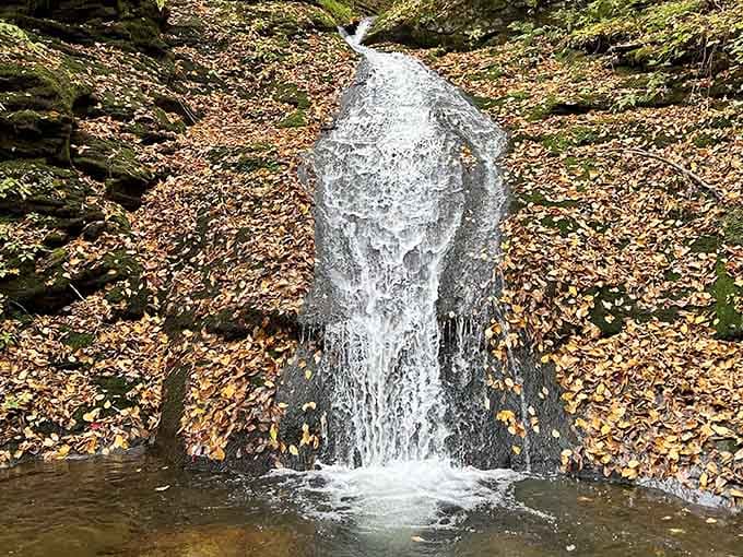 Small waterfalls along the creek prove that nature doesn't need grand scale to create something absolutely magical.