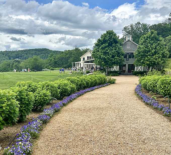 Purple flowers line the path like nature's own velvet rope to wine paradise.