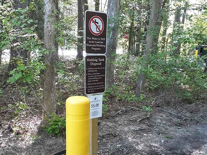 Even practical campground details can't diminish the magic waiting just beyond these modern conveniences.
