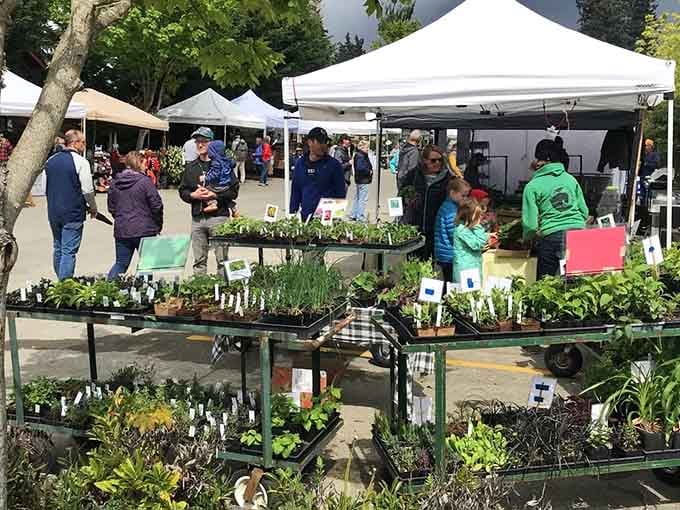 The Farmers Market delivers fresh produce and artisan goods, proving Saturday mornings can actually be productive.