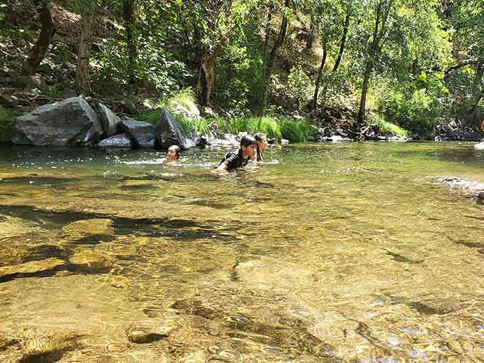 Shallow sections offer perfect wading for younger adventurers, where you can see your toes and everything swimming past.