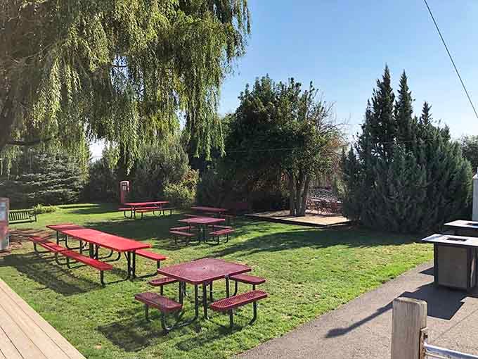 Shaded picnic tables under mature trees offer a peaceful outdoor dining option when Washington weather cooperates beautifully.