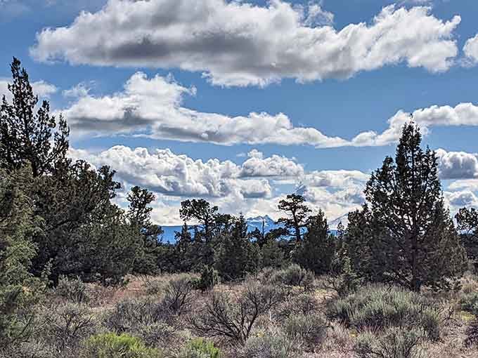 The surrounding high desert ecosystem of twisted junipers and sagebrush provides the perfect contrast to subterranean exploration.