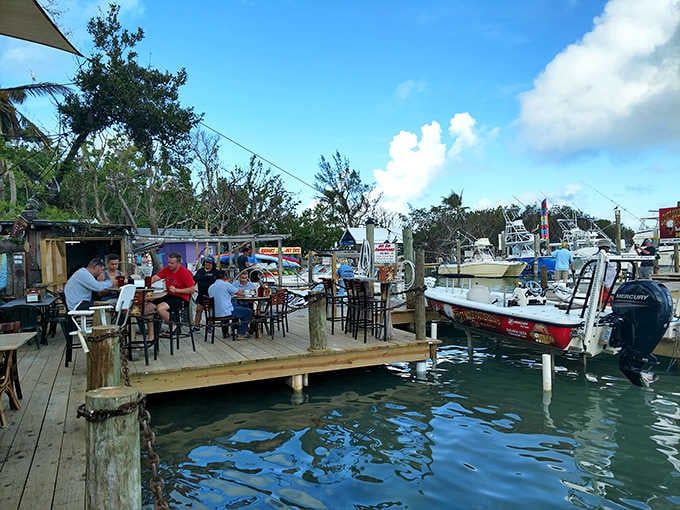 Waterfront dining where your meal comes with complimentary entertainment from fish, birds, and the occasional passing manatee parade.