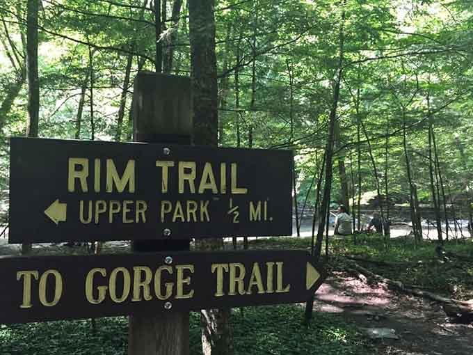 Trail signs point adventurers toward the gorge or rim, choose your own adventure in upstate New York.
