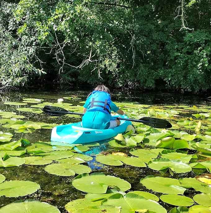 Paddling through lily pads feels like exploring Monet's garden, except you're the one getting the workout today.