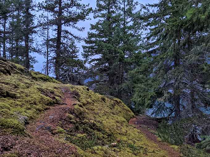 Moss-covered trails wind through forests so green they make the Emerald City look dull by comparison.