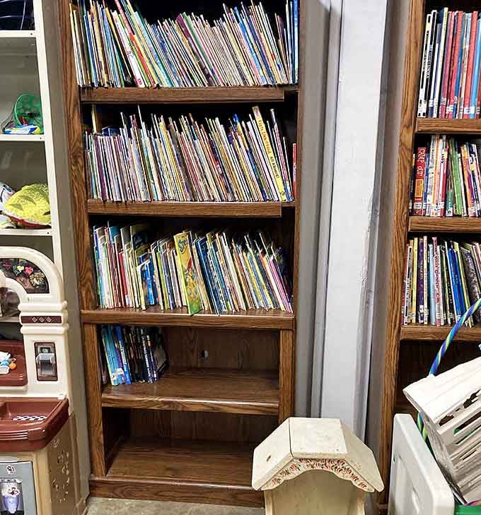 Children's books stacked neatly on oak shelves promise bedtime stories and reading adventures at pennies per page.