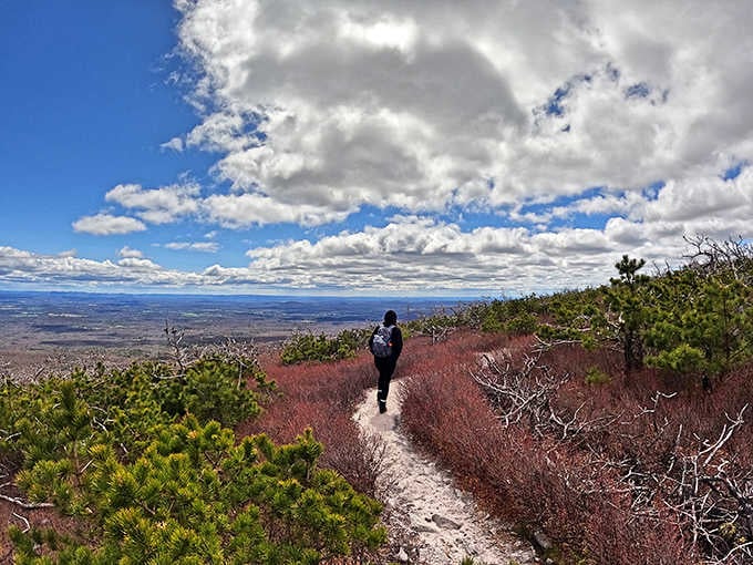 One hiker, endless views, and the kind of perspective that makes Monday morning meetings feel less important.