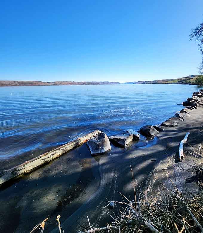 Rocky shorelines add character and fishing spots, proving this beach offers more than just swimming and sunbathing opportunities.