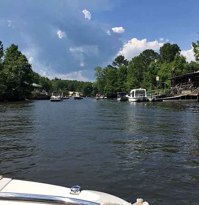 The Waccamaw River flows peacefully past island shores, its dark water reflecting skies that seem bigger without city lights competing.