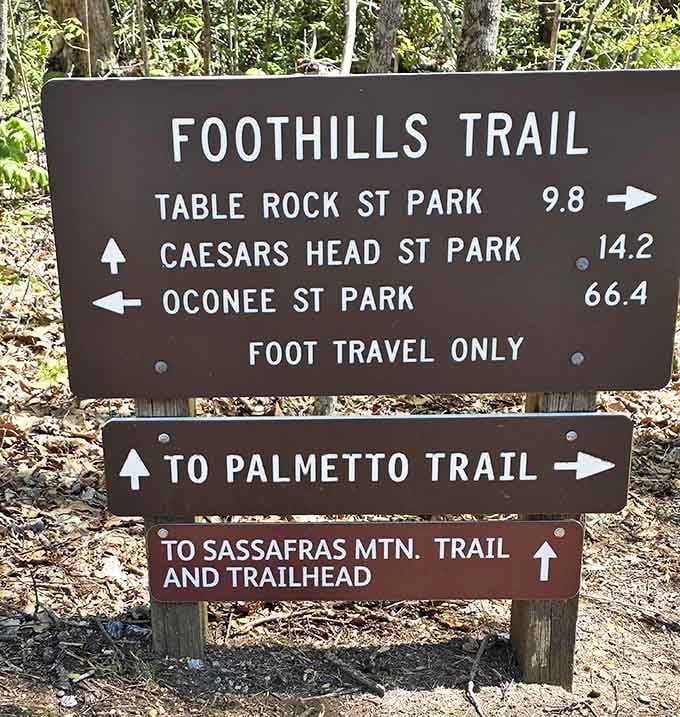 Trail signs pointing to adventures near and far, though honestly, you've already arrived at something pretty special.