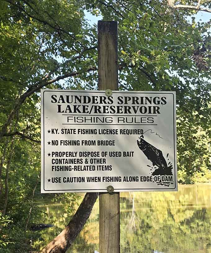 Yes, you can fish here, but honestly the view might distract you from catching anything.